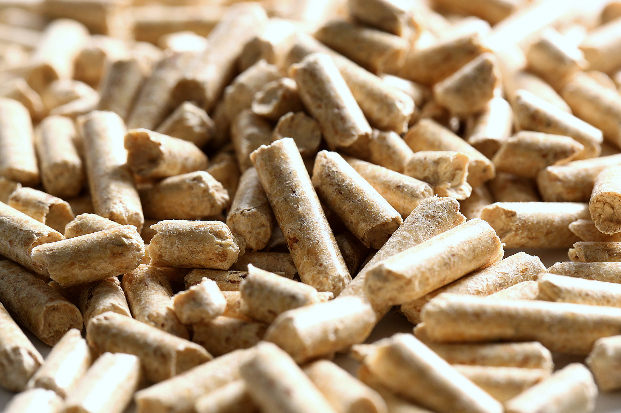 Pellets - der Brennstoff